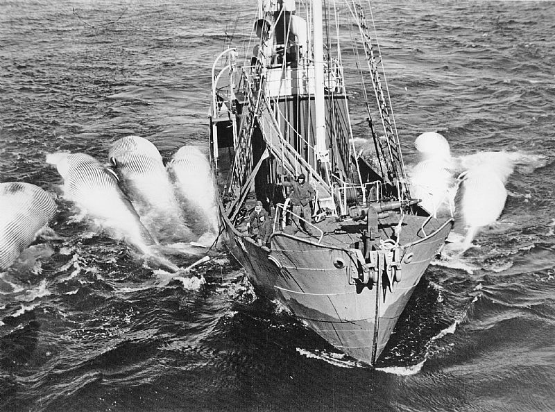 Hefter: Hval, veid, fangst og norske kyster: Til Antarktis ...